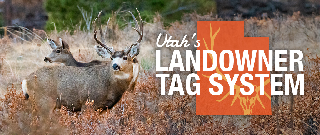 Duke Boyington | St. James Sporting Properties