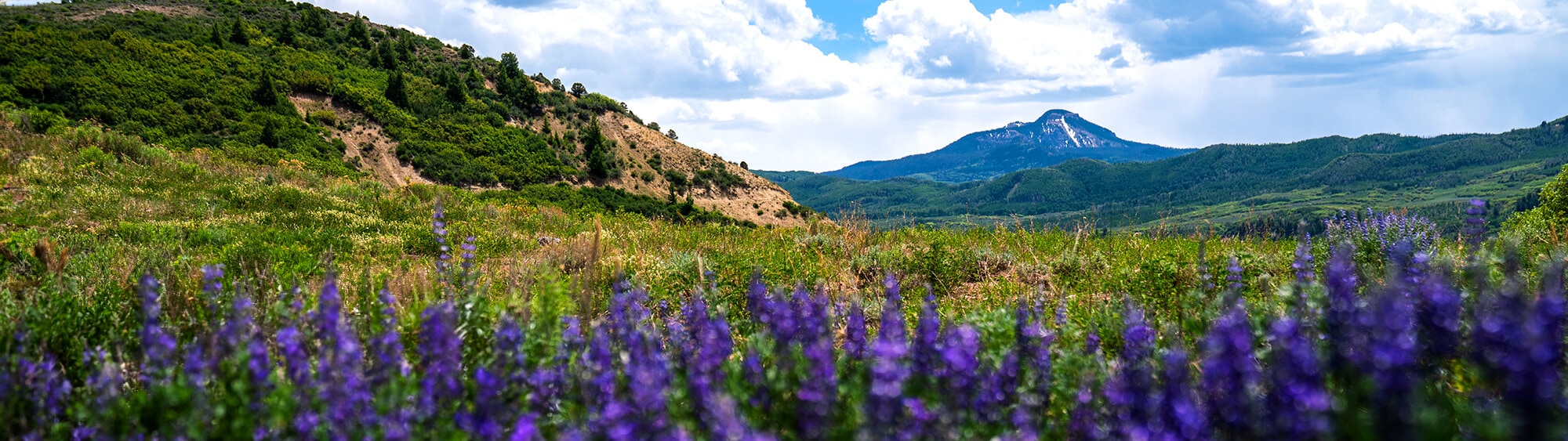 Trophy Hunting & Fishing Properties | St James Sporting Properties