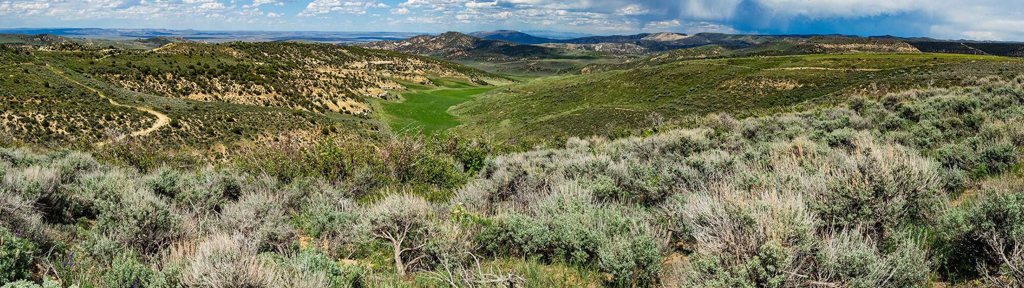 Trophy Hunting & Fishing Properties | St James Sporting Properties