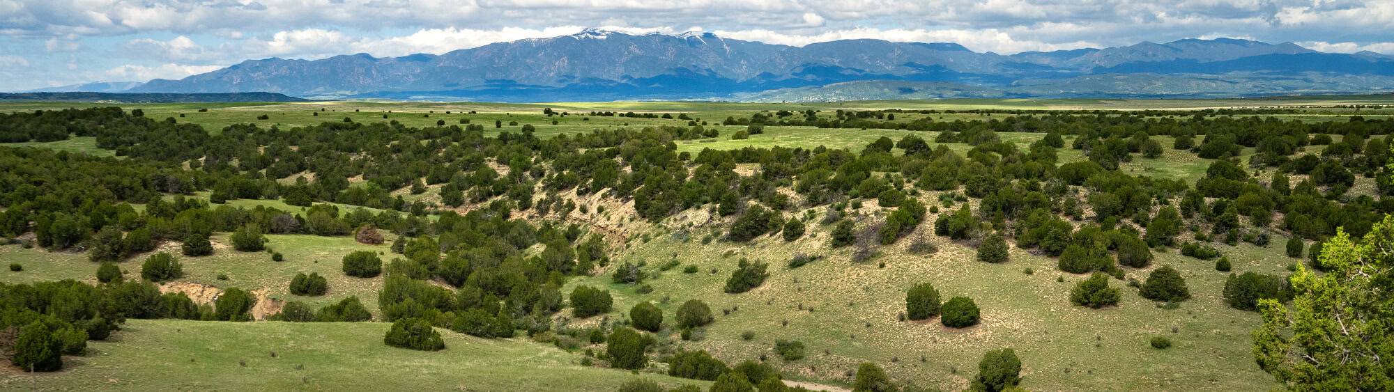 Trophy Hunting & Fishing Properties | St James Sporting Properties