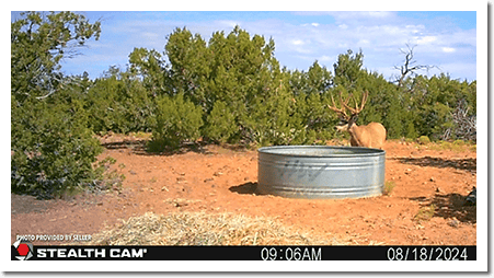 Trophy Hunting & Fishing Properties | St James Sporting Properties