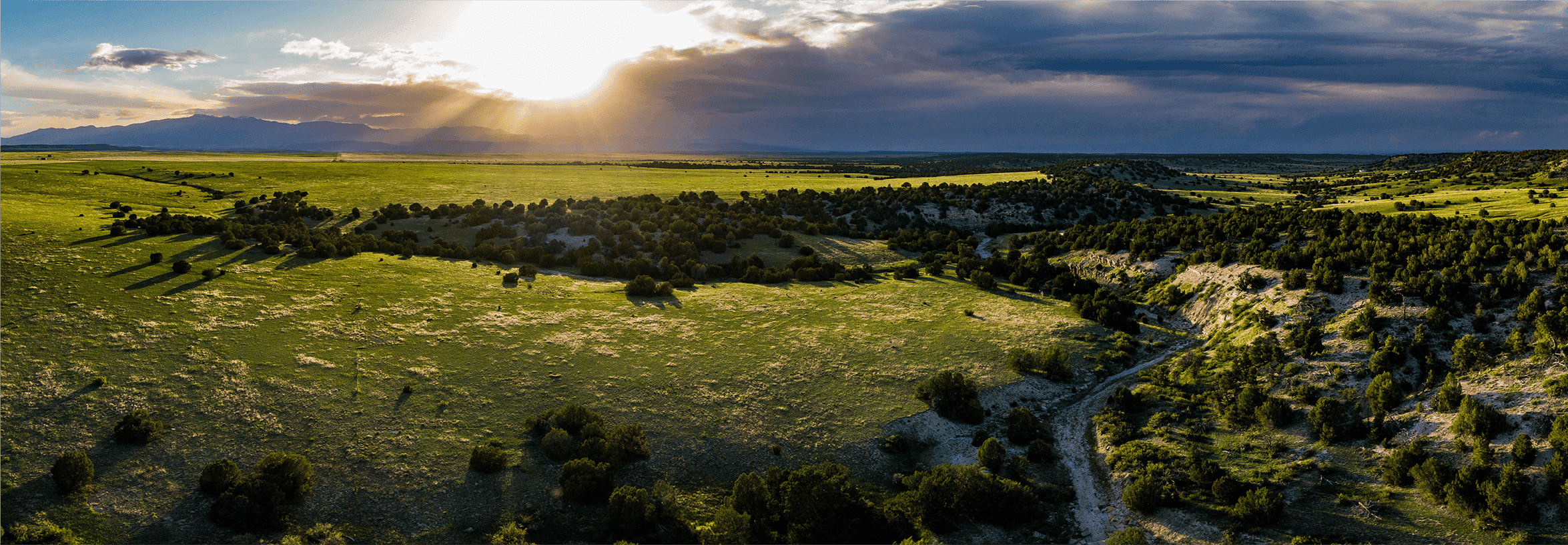 Trophy Hunting & Fishing Properties | St James Sporting Properties